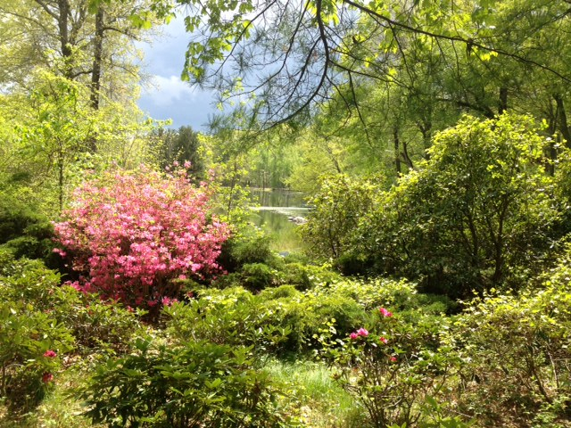 A perfect spring moment - EQUINE Ink