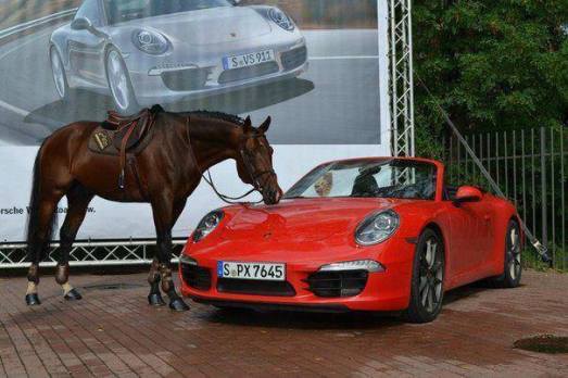 TB vs. Ferrari - EQUINE Ink