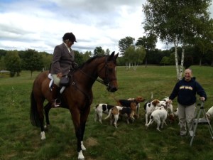 Bees! Run! - EQUINE Ink