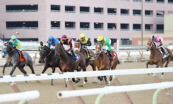 The Aptly Named Far From Over Comes from Last to Win the G3 Withers ...