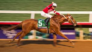 Gun Runner Wins the Breeders Cup Classic - EQUINE Ink