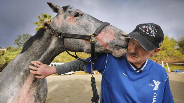 The Road to Recovery after the Lilac Fire - EQUINE Ink