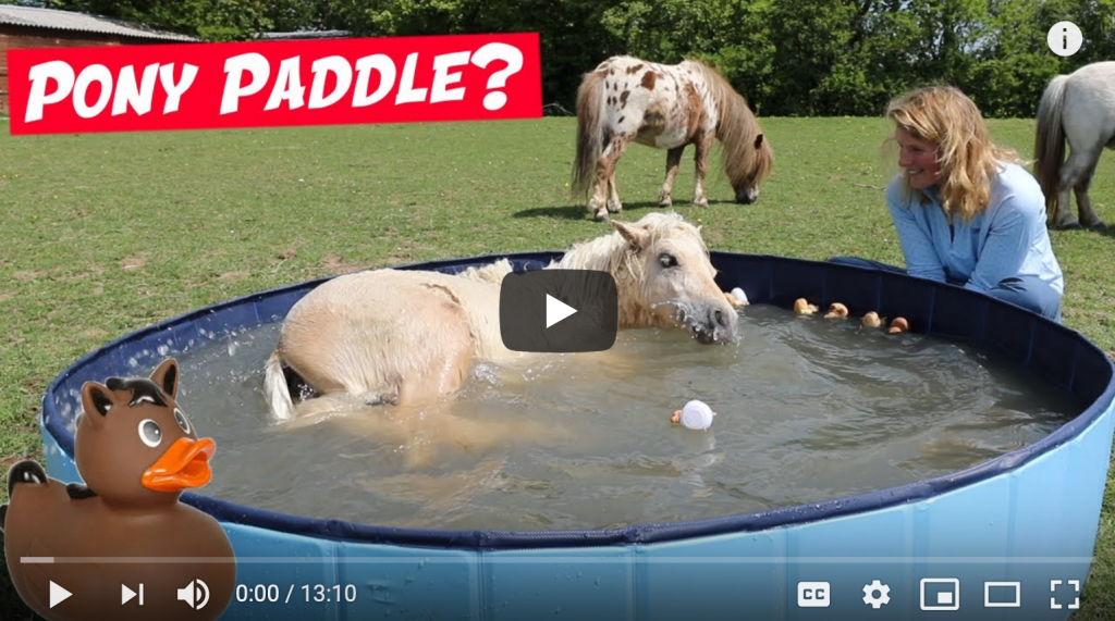 Pony Paddling Pool - EQUINE Ink