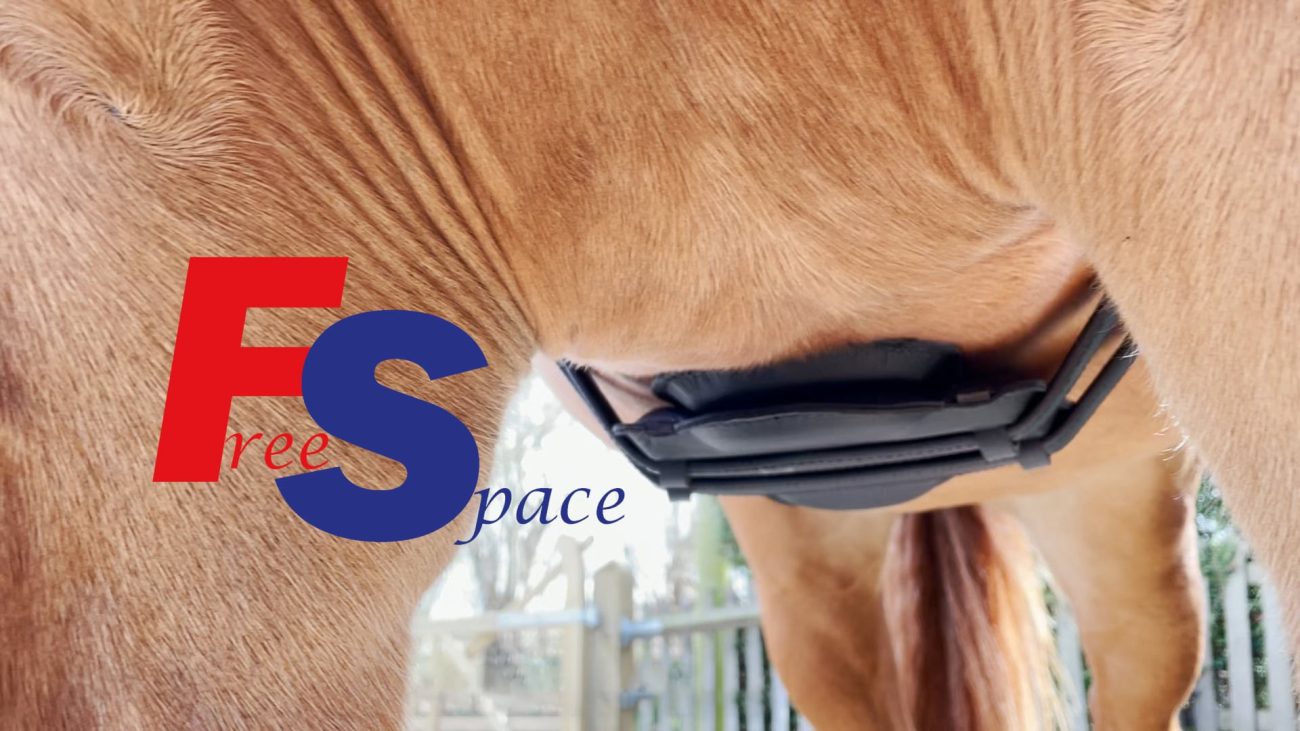 Innovative Girth Option from Wow Saddles - EQUINE Ink